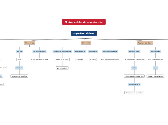 El nivel celular de organización. - Mind Map